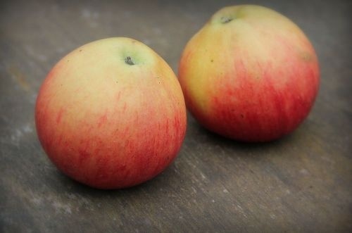 Appel "Pinova", Malus domestica 'Pinova' kopen