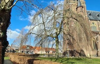 Divers assortiment treurvormen kopen