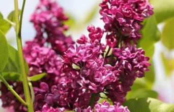 Sering kopen? Bekijk het assortiment!