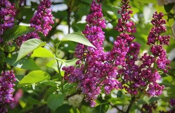 Sering kopen? Bekijk het assortiment!