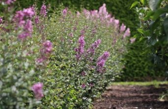 Sering kopen? Bekijk het assortiment!