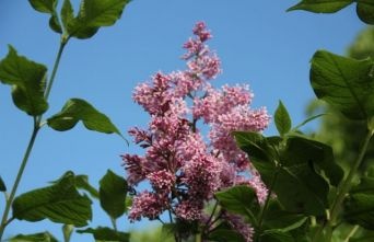 Sering kopen? Bekijk het assortiment!