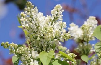 Sering kopen? Bekijk het assortiment!