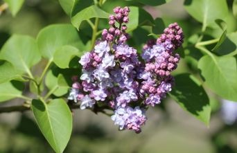 Sering kopen? Bekijk het assortiment!