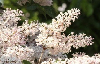 Sering kopen? Bekijk het assortiment!