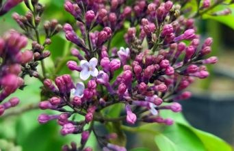 Sering kopen? Bekijk het assortiment!