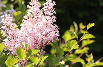 Sering kopen? Bekijk het assortiment!