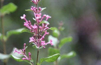 Sering kopen? Bekijk het assortiment!