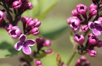 Sering kopen? Bekijk het assortiment!