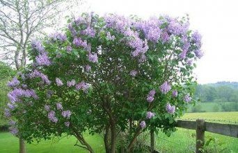 Sering kopen? Bekijk het assortiment!