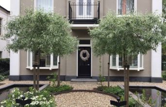 Divers assortiment treurvormen kopen