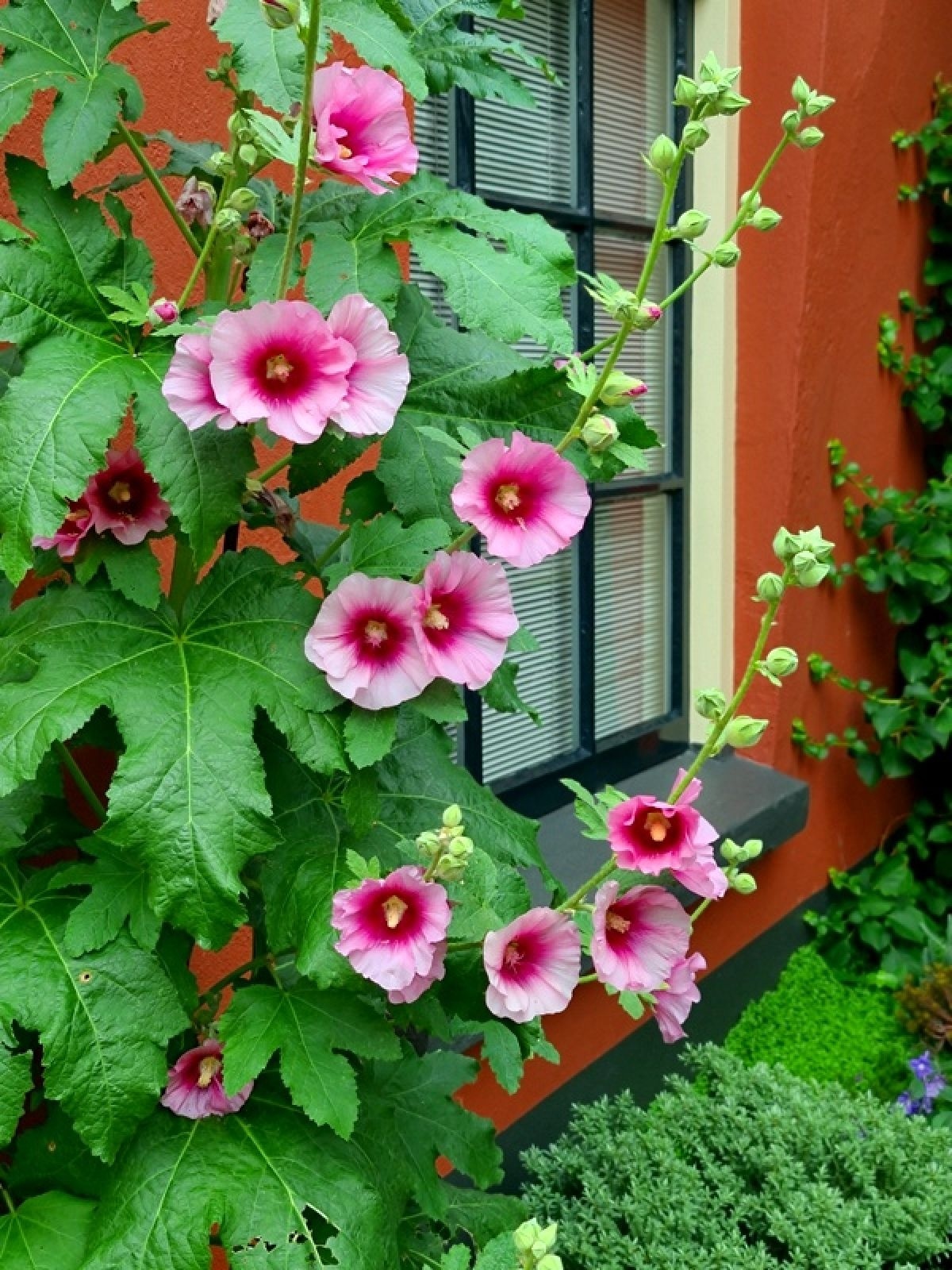 sfeertuinen en natuurlijke landschappelijke tuinen. Bostuinen.